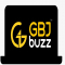 Human Resources (HR) Remote Internship at GBJ BUZZ