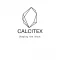 Graphic Design Remote Part Time Internship at CalciteX Cybernetics LLP