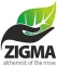 PowerPoint Work From Home Part Time Internship at Zigma Global Environ ...