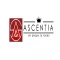 Human Resources (HR) Internship at Ascentia Organisation, Bangalore