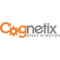 Client Servicing Work From Home Part Time Internship at Cognetix India ...