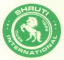 Electrical Engineering Internship at Shruti International, Delhi