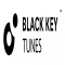 Sales and Marketing Internship in Mumbai at Black Key Tunes LLP ...