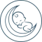 Project Reviewer - Video Project (WFH) Internships in Hyderabad: Find ...